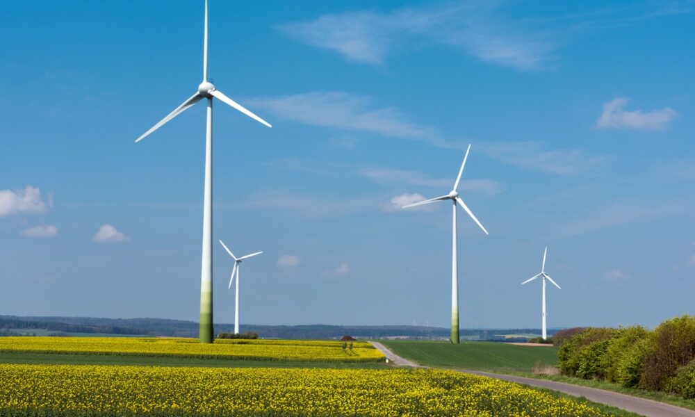 A roadmap for achieving India's green energy ambitions - Marksmen Daily ...