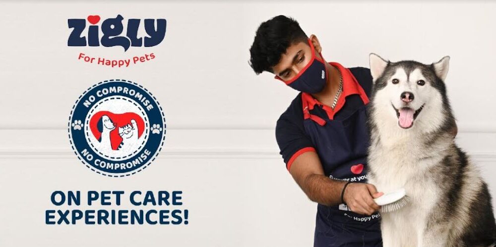 Zigly's Brand Campaign Encourages 'No Compromise' on Pet Care ...